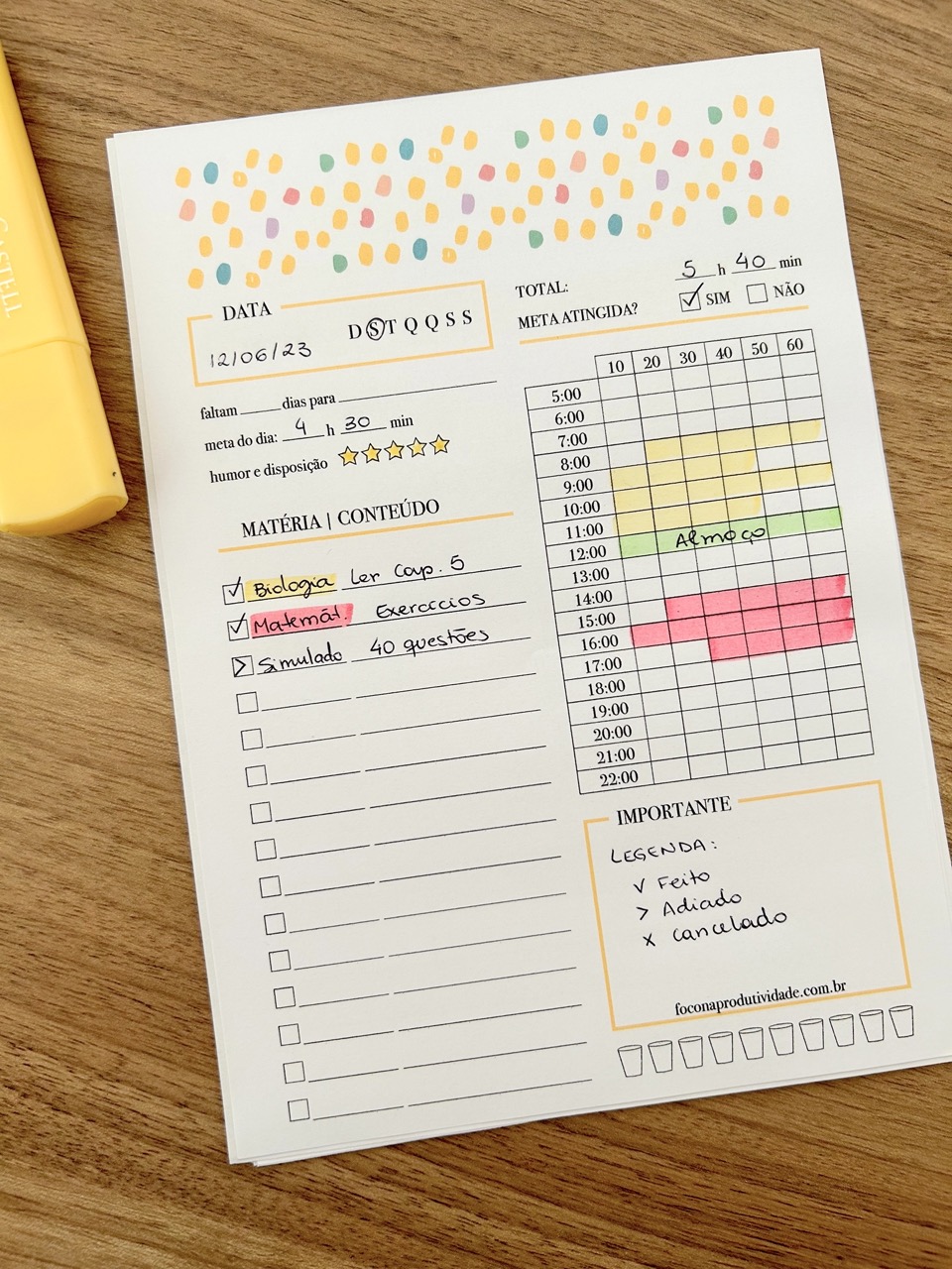 Planner de Estudos para Imprimir - Foco na Produtividade